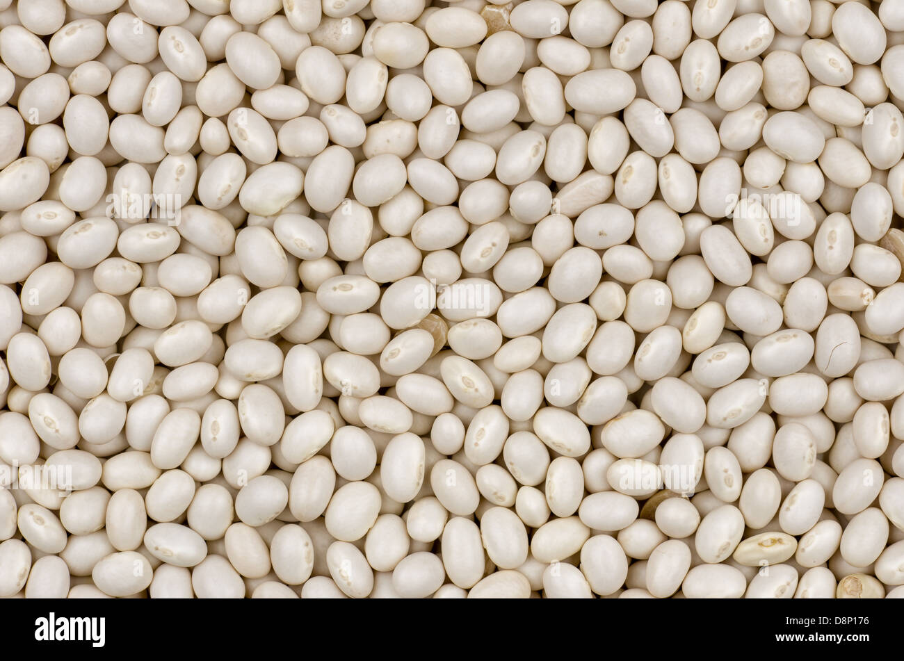 Closeup white beans texture Stock Photo - Alamy