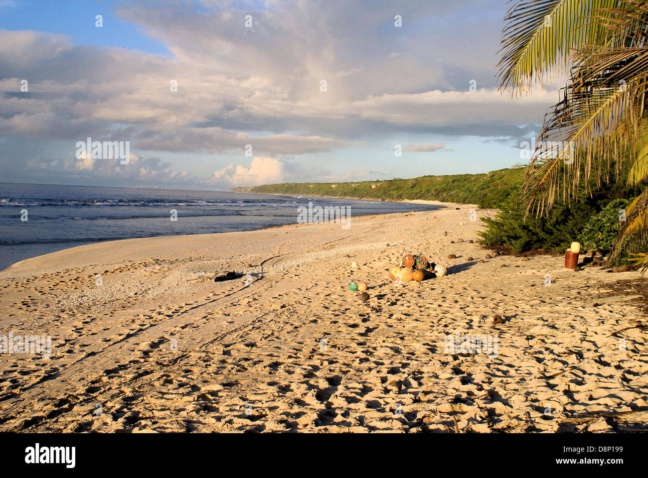 Henderson island hi-res stock photography and images - Alamy