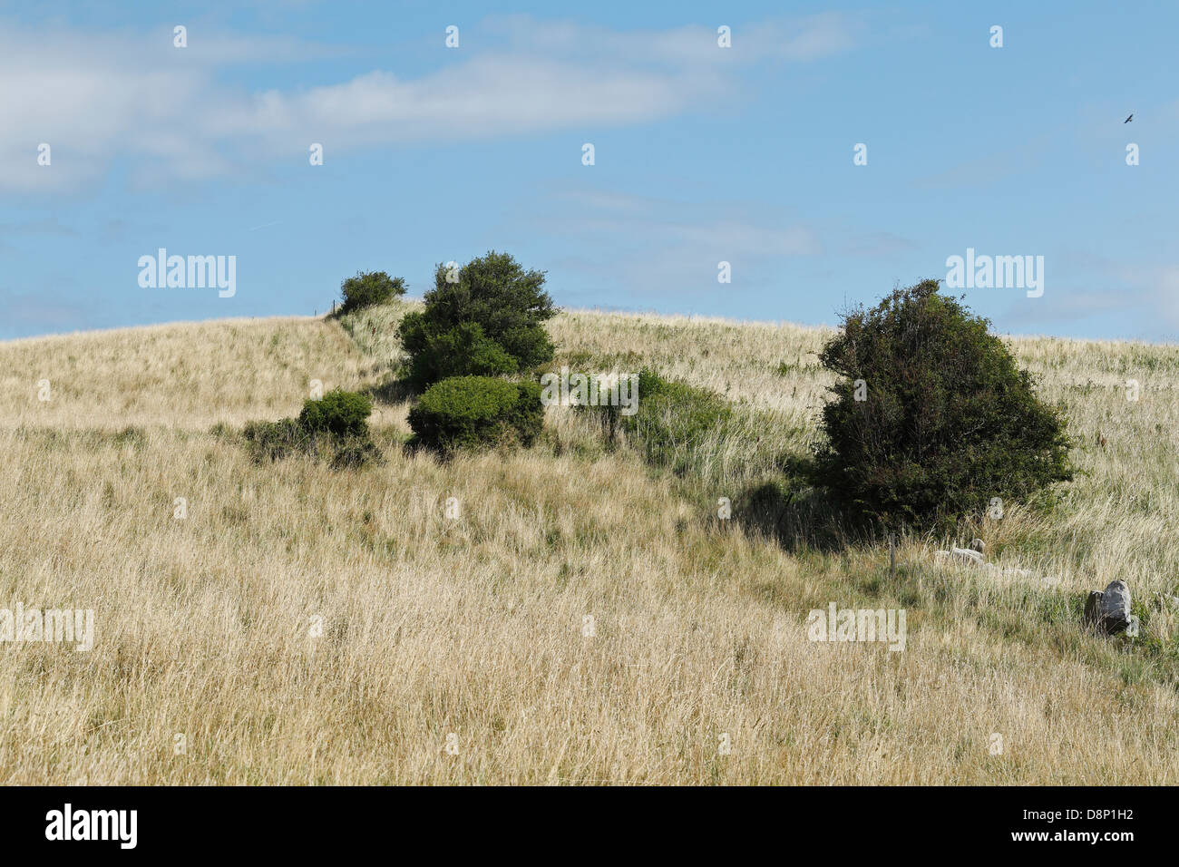 Fyns Hoved. Head of Funen, Denmark. Moraine landscape with tickets ...