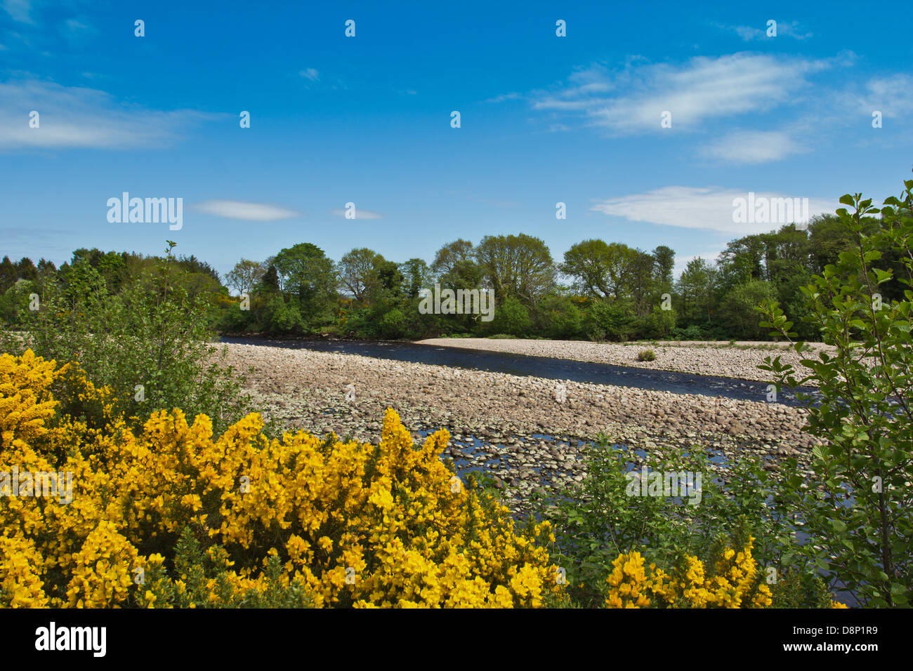 THE UPPER PART OF STONEY POOL RIVER FINDHORN MORAY SCOTLAND Stock Photo ...