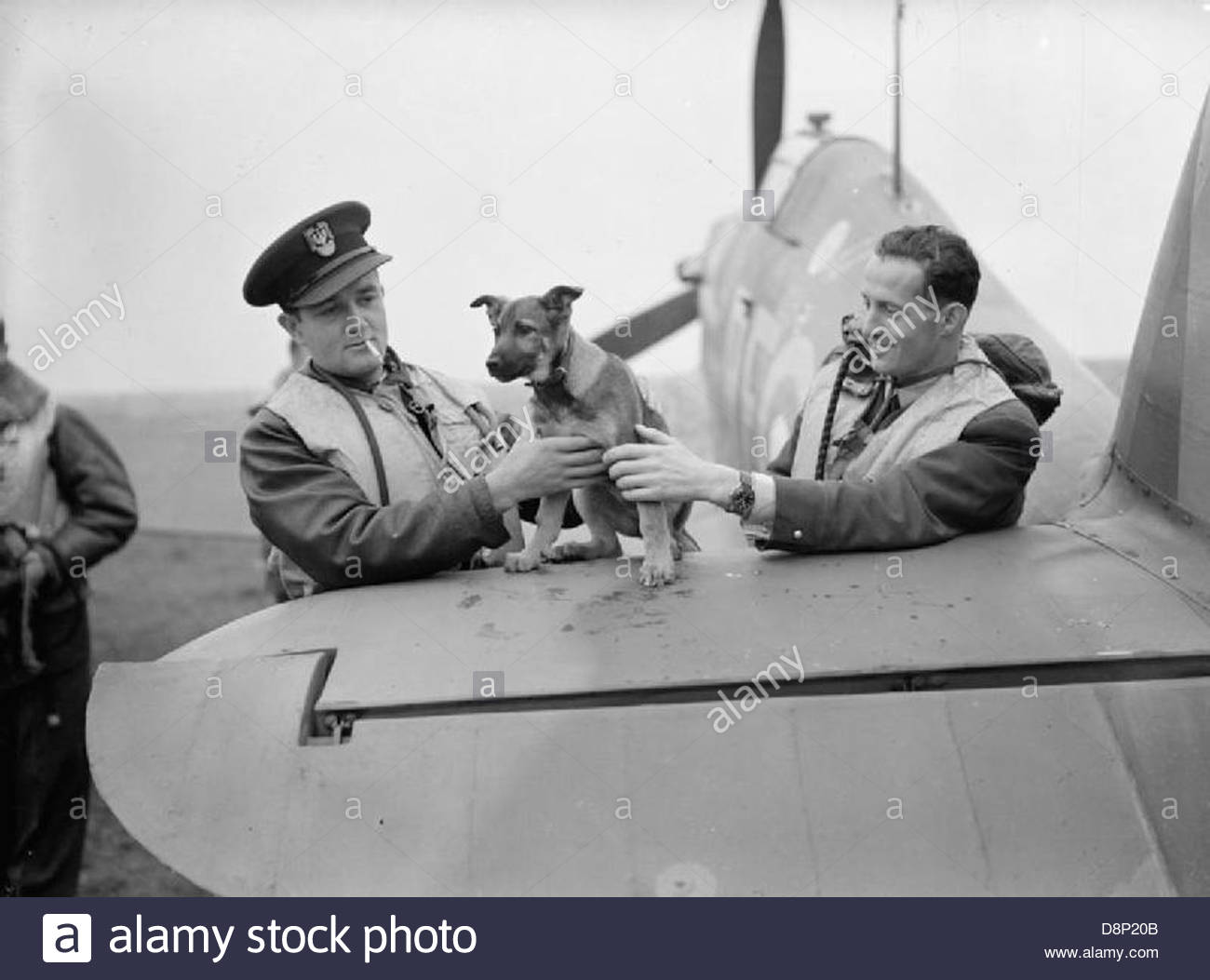 303 Polish Squadron Stock Photos & 303 Polish Squadron Stock Images - Alamy