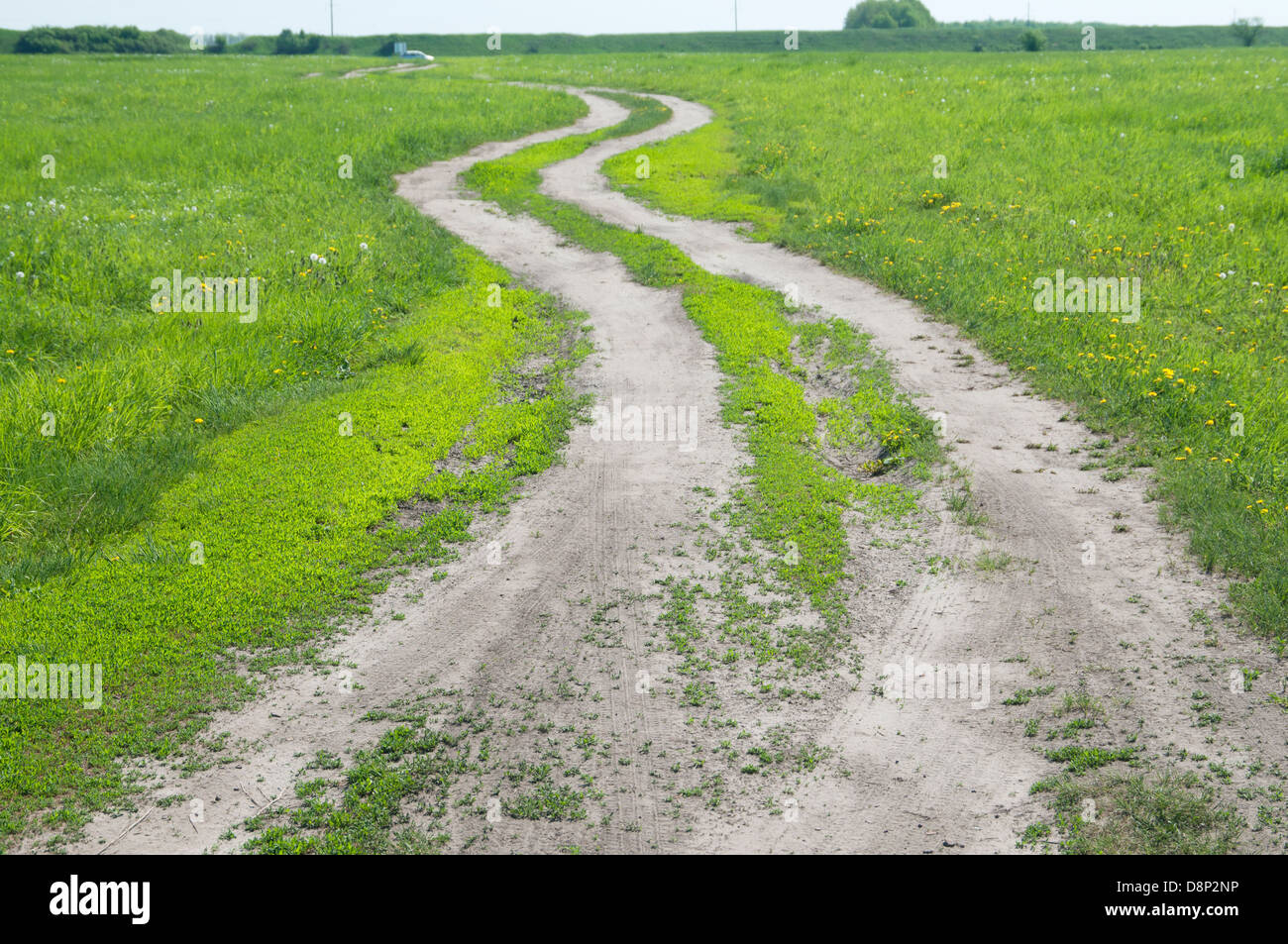 Dirt road in a grass field, sunny day Stock Photo - Alamy