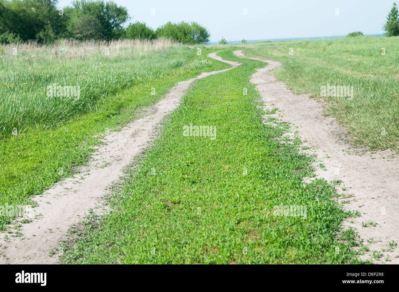 Dirt road in a grass field, sunny day Stock Photo - Alamy