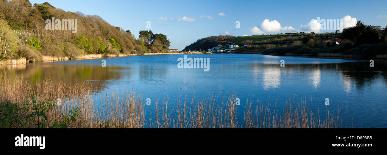 Swanpool Nature Reserve, Falmouth Cornwall England UK Stock Photo - Alamy