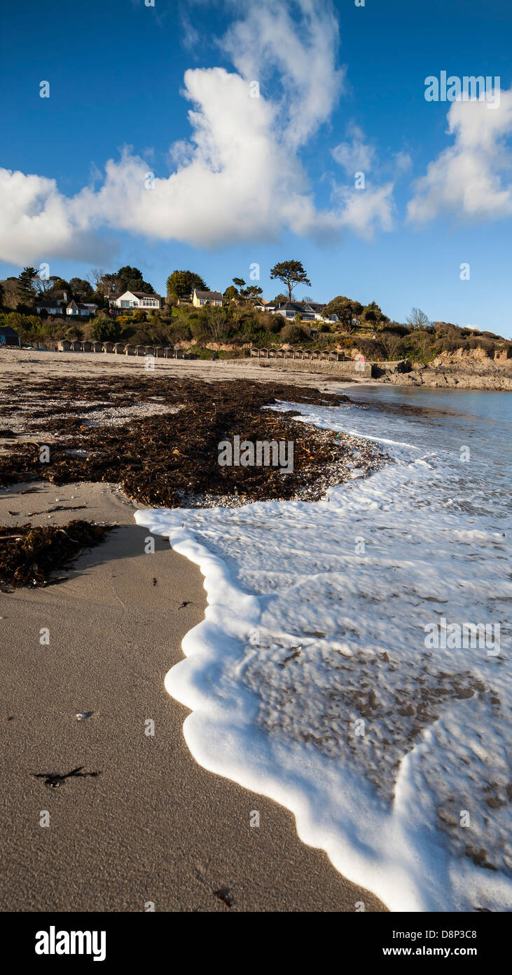 Sunny day on Swanpool Beach Falmouth Cornwall England UK Stock Photo ...