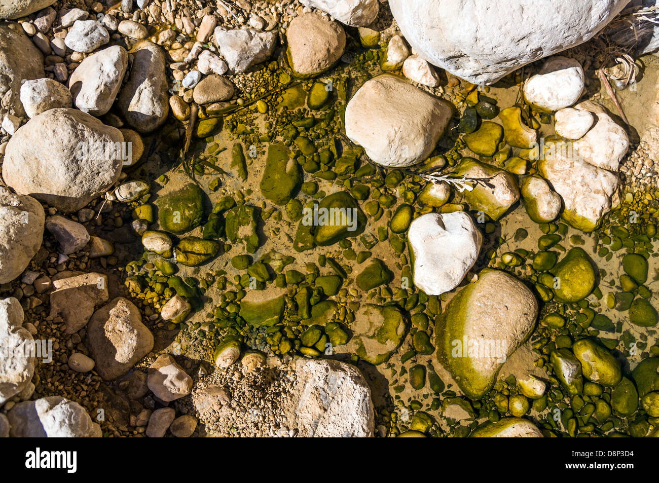 pebbles and rocks near the creek in clear water Stock Photo - Alamy