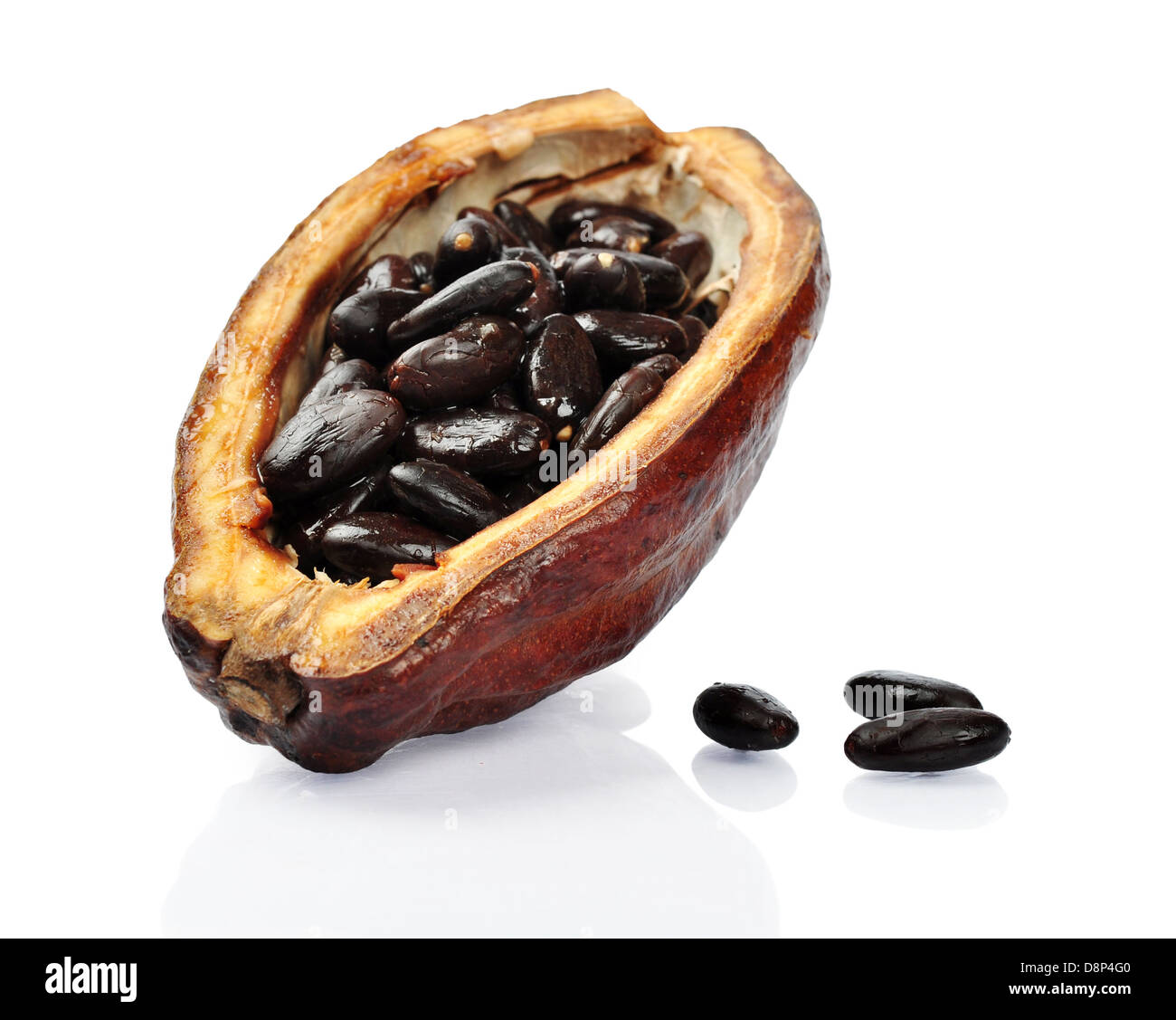 Ripe cocoa fruit hi-res stock photography and images - Alamy