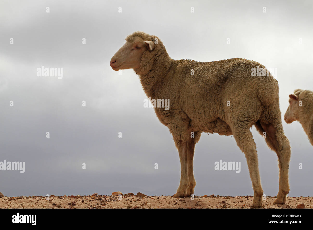 South africa farm dam hi-res stock photography and images - Alamy