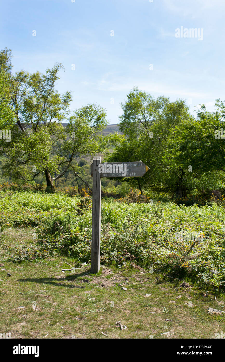 A Signpost At Webbers Post On Exmoor Stock Photo - Alamy