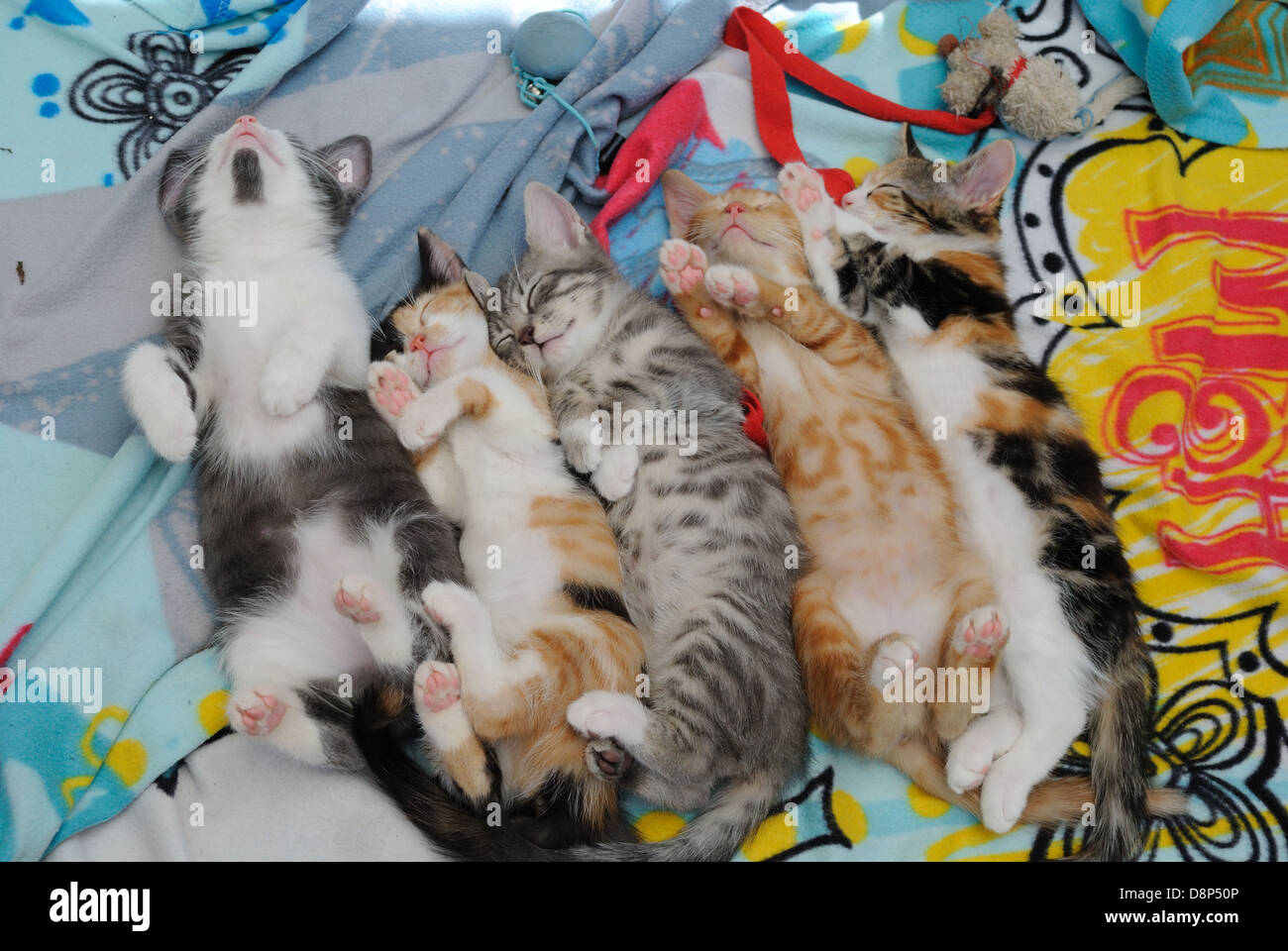 Sleep time hi-res stock photography and images - Alamy