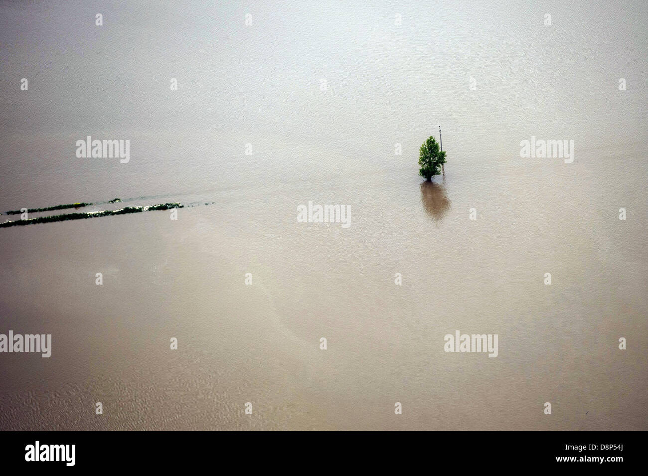 Jena, Germany. 2nd June, 2013. Tree stands in a flooded area near Jena ...