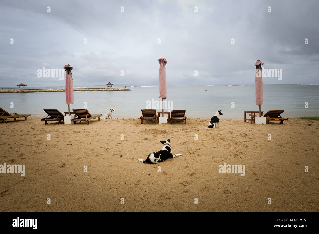 Life in Bali, Indonesia Stock Photo - Alamy