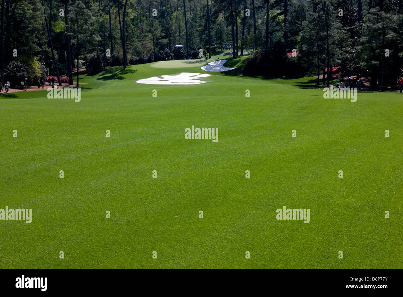 Golf fairway green hi-res stock photography and images - Alamy