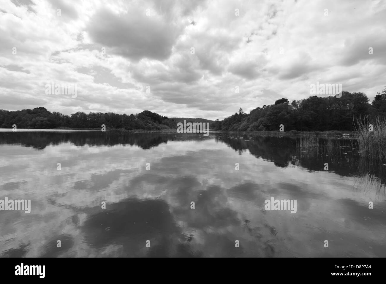 Summer in south west england Black and White Stock Photos & Images - Alamy