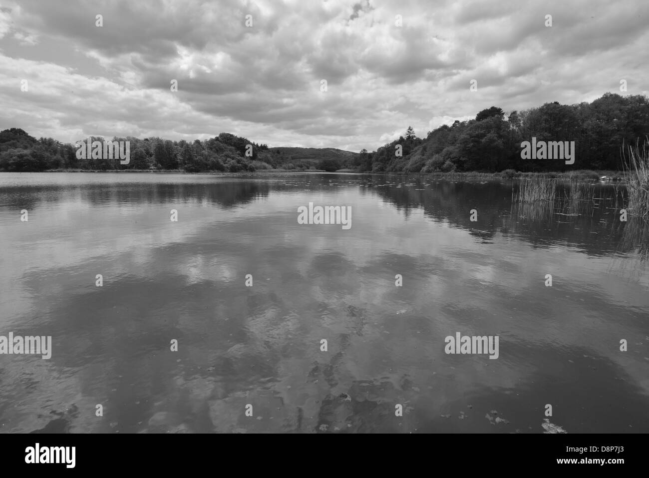 Summer in south west england Black and White Stock Photos & Images - Alamy