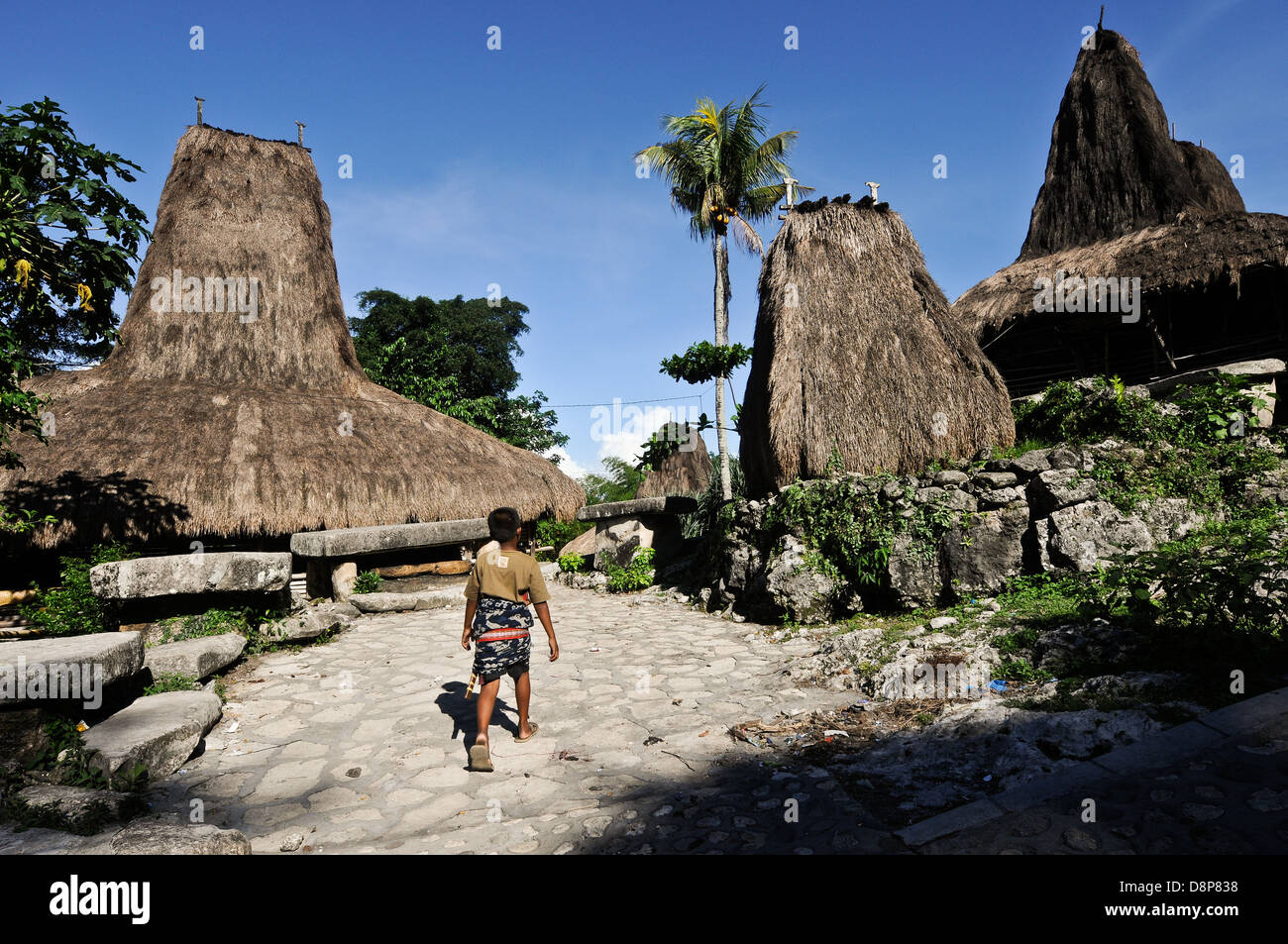 Sumba traditional architecture hi-res stock photography and images - Alamy