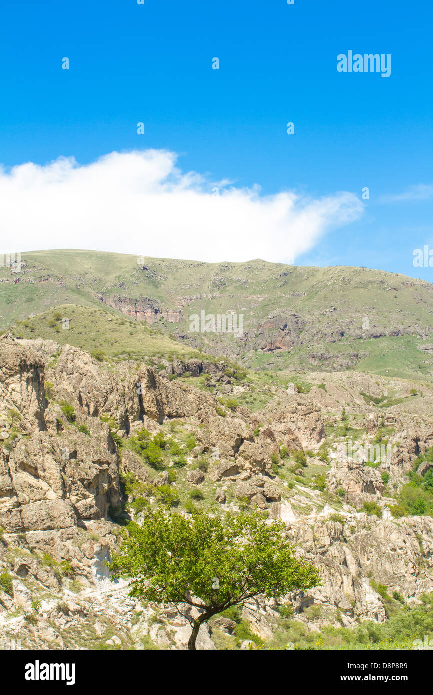 medieval cave city monastery Vardzia,Georgia,Transcaucasus Stock Photo ...