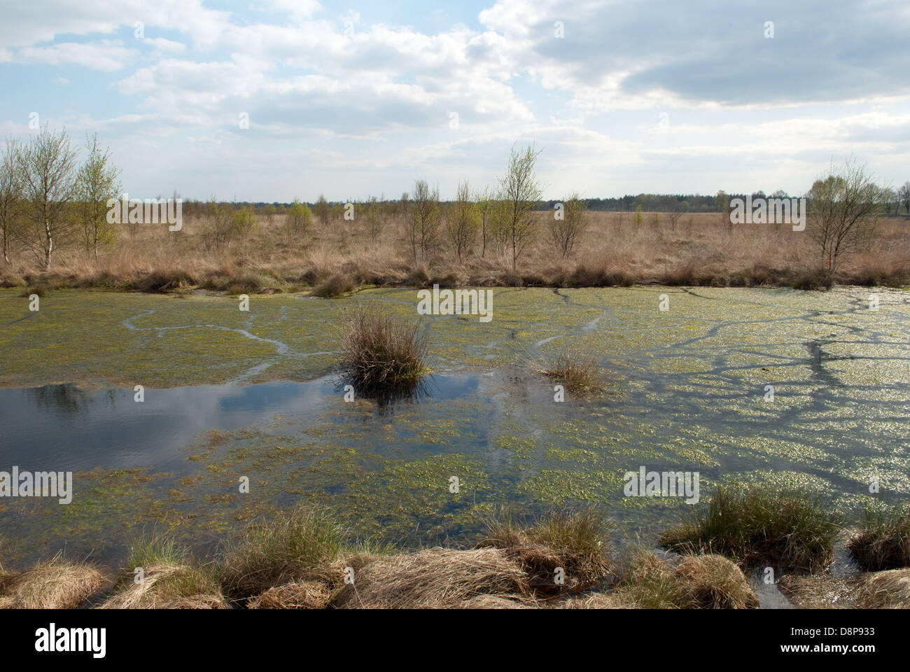 Germany moors hi-res stock photography and images - Alamy