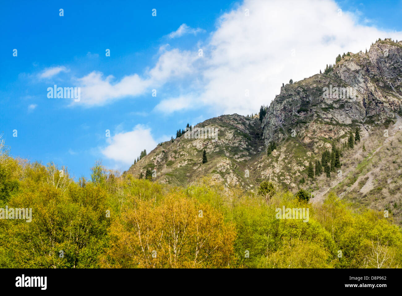 panorama of the nature of the gorge in Almaty, Kazakhstan Stock Photo ...