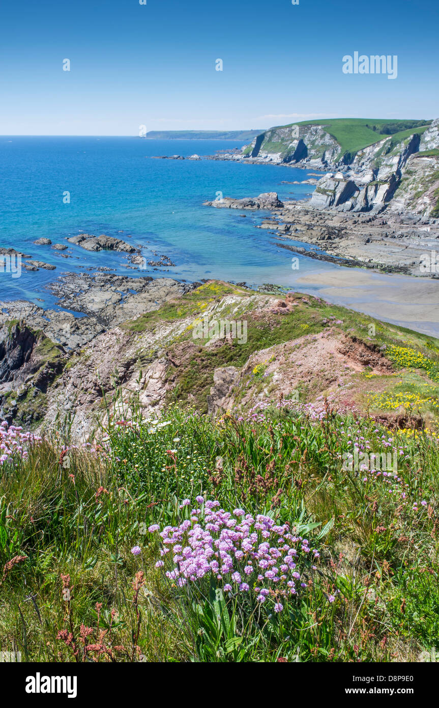 Looking down from high cliffs carpeted with wild flowers to a rocky ...
