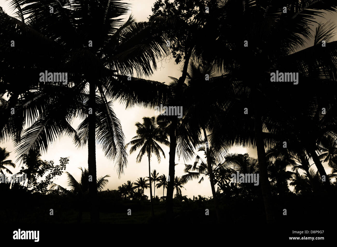 Life in Bali, Indonesia Stock Photo - Alamy