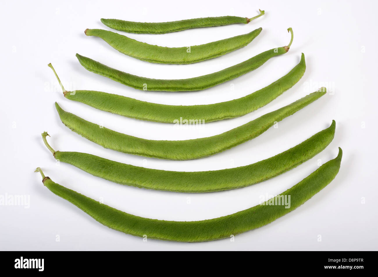 Organic Runner beans Stock Photo - Alamy