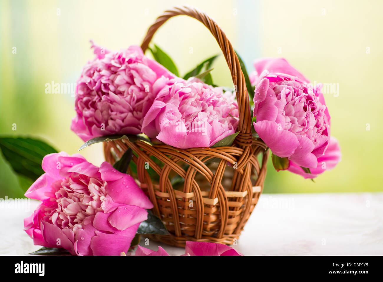 Pink peonies wood hi-res stock photography and images - Alamy