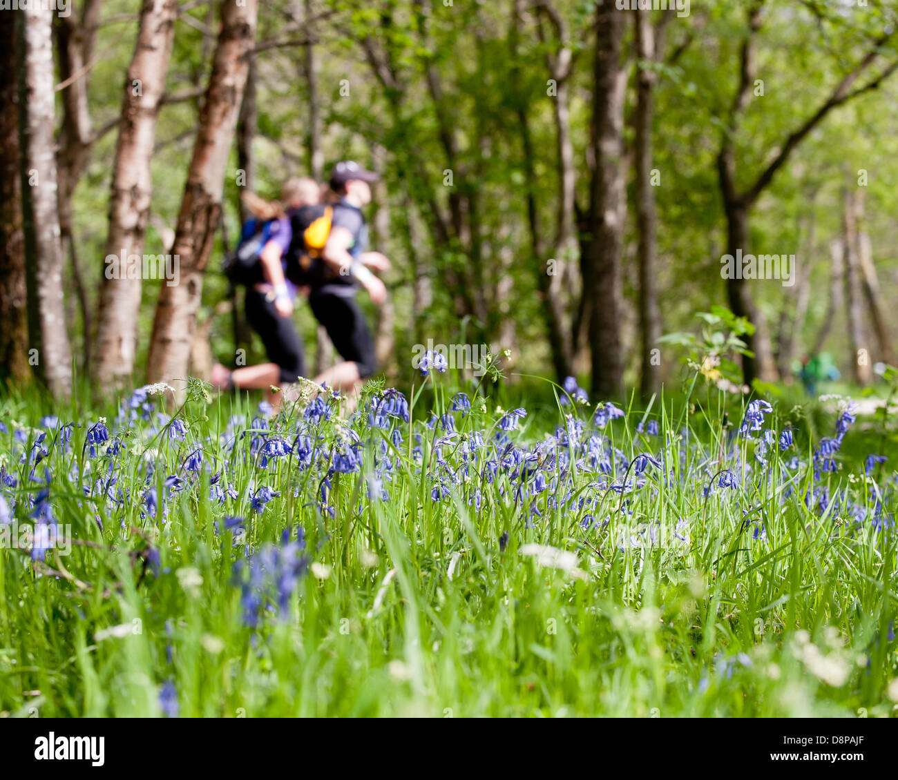 Highlands Scotland. 1st June, 2013. The first city to summit rat race ...