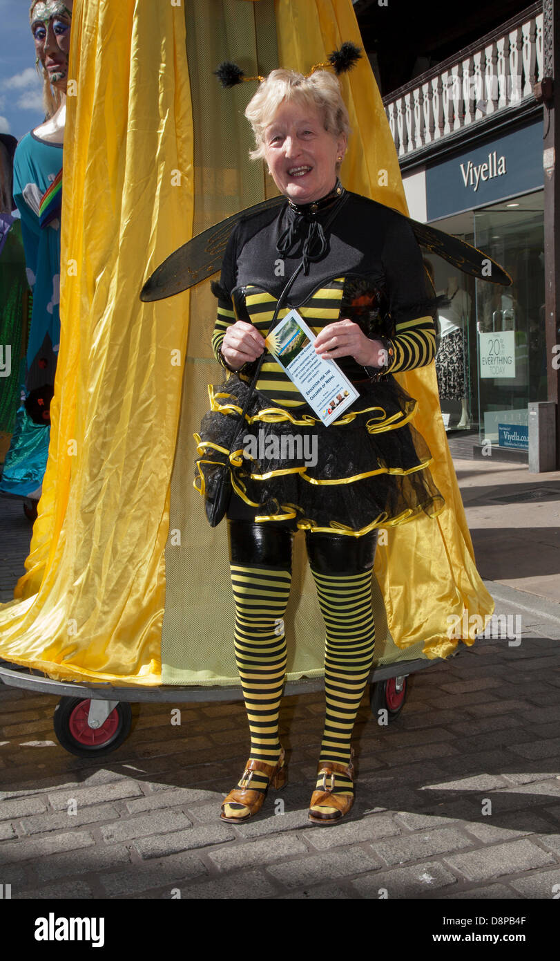 Chester, UK 2nd June, 2013. Christine Highfield, 70 from Crewe at the ...