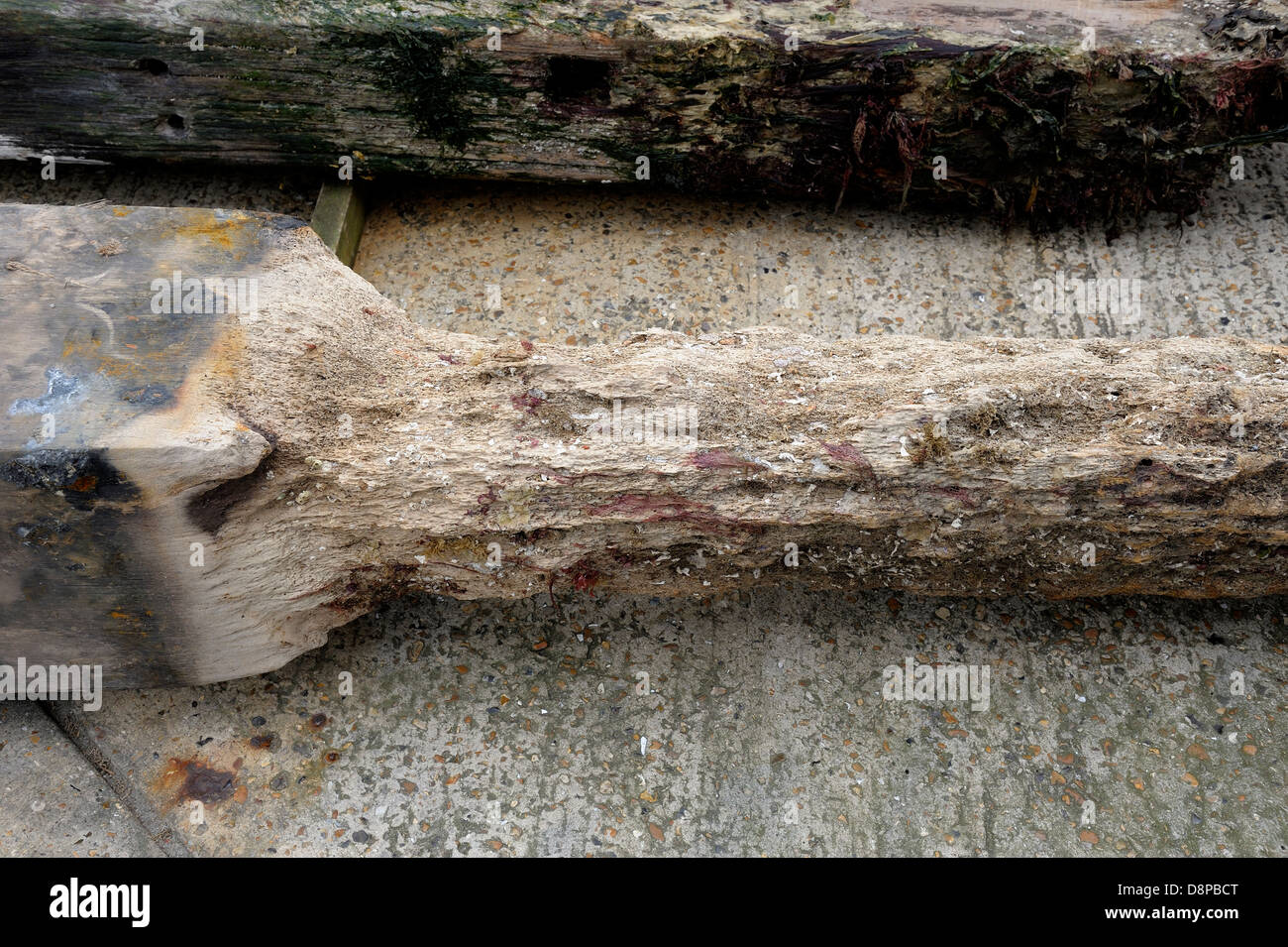 rotting pier timber piles removed from swanage pier by contractors ...