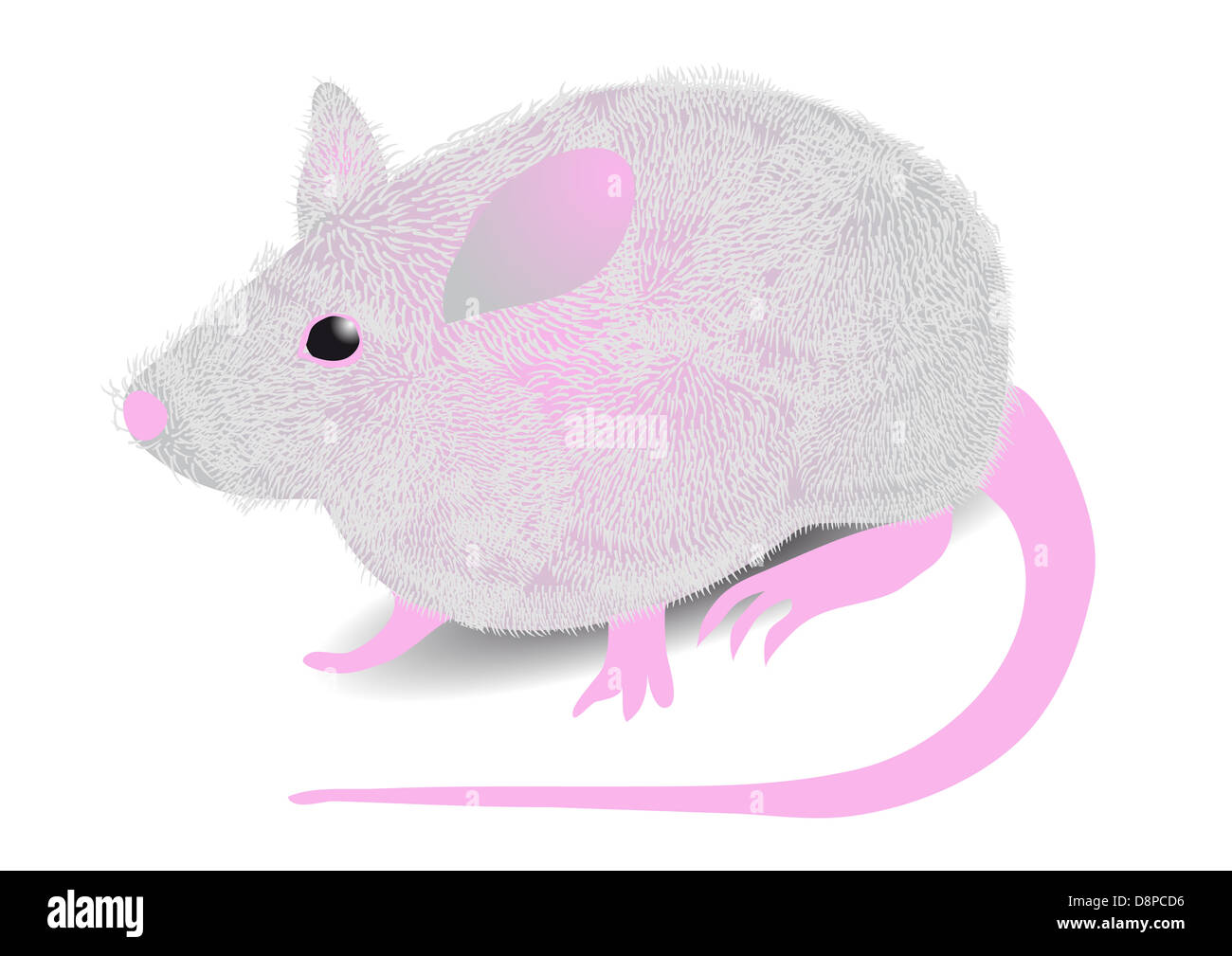 gray mouse isolated on white background Stock Photo - Alamy