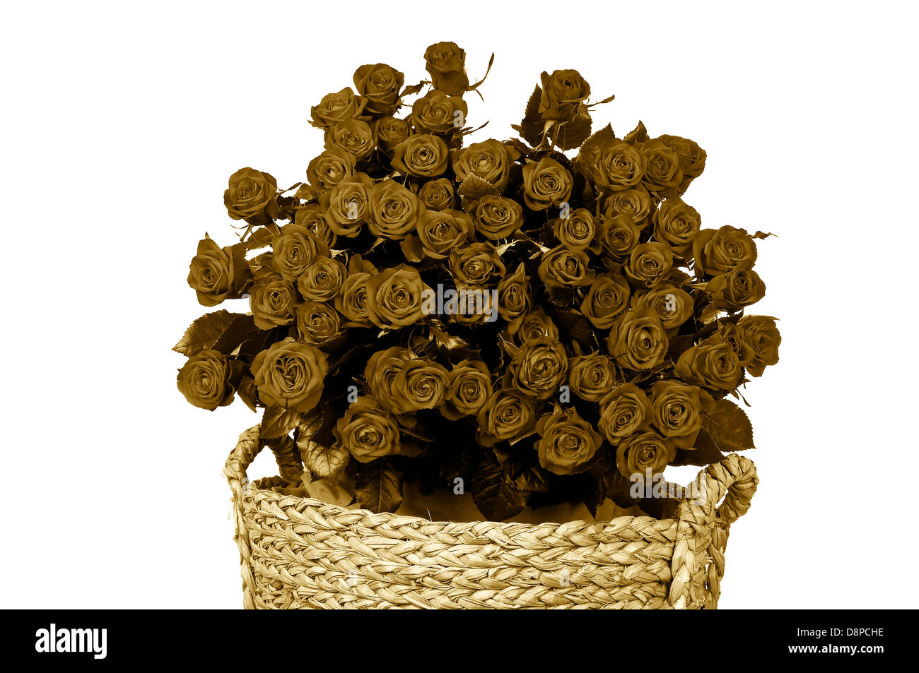 Sepia flower bouquet hi-res stock photography and images - Alamy