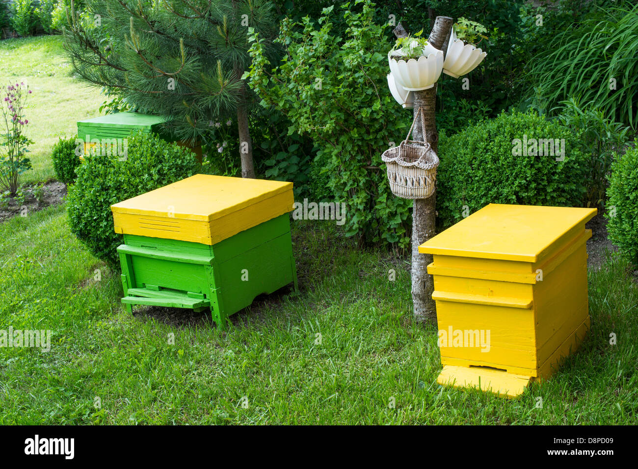 Yellow beehives located on the green lawn Stock Photo - Alamy
