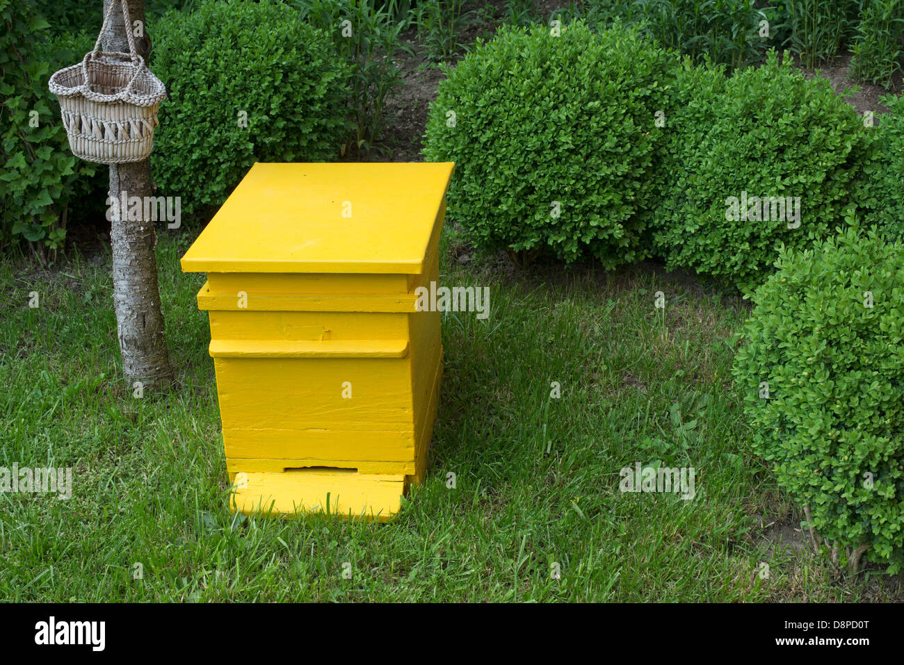 Yellow beehive located on the green lawn Stock Photo - Alamy