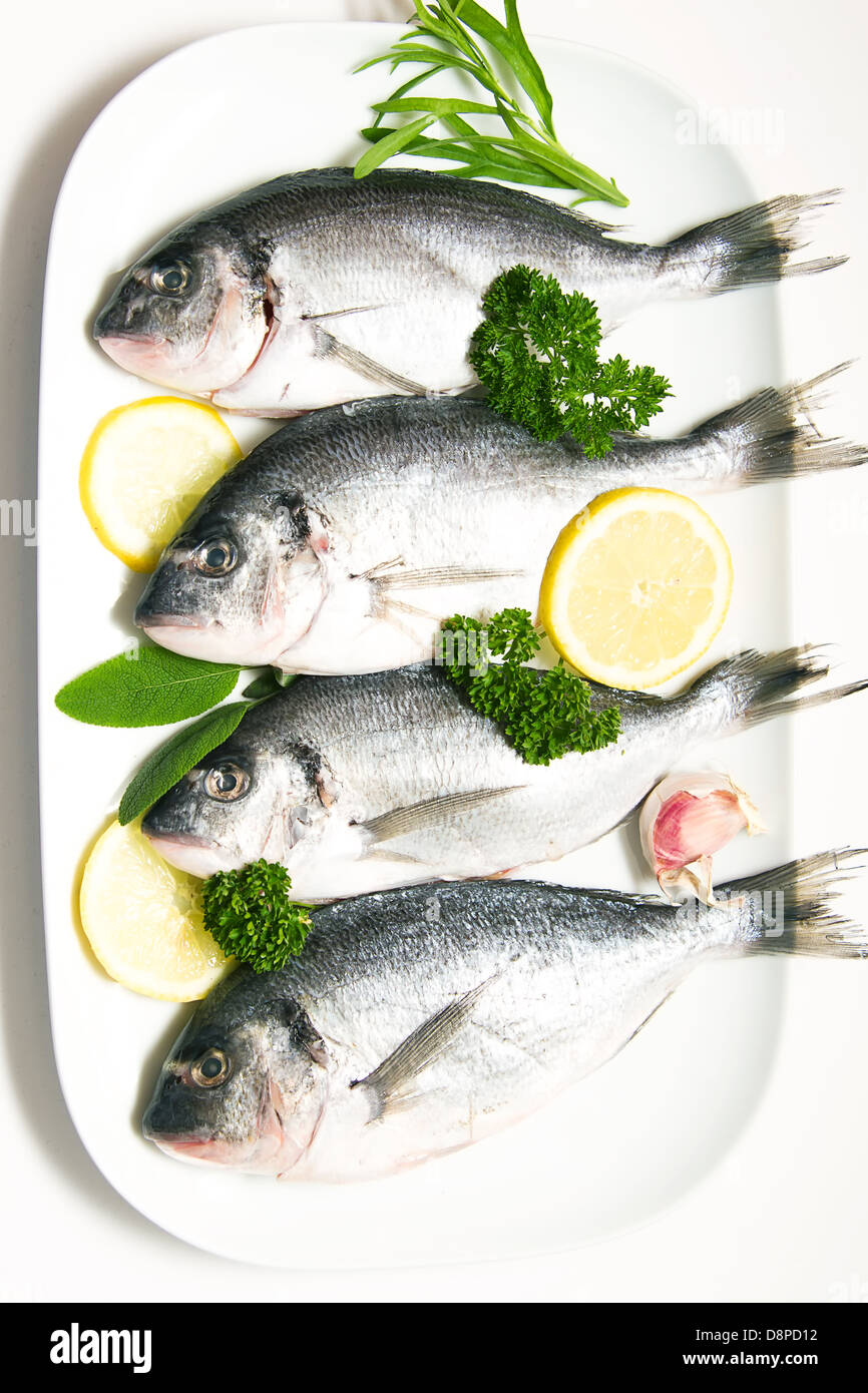 Raw gilthead seabream with lemon slices and herbs Stock Photo - Alamy