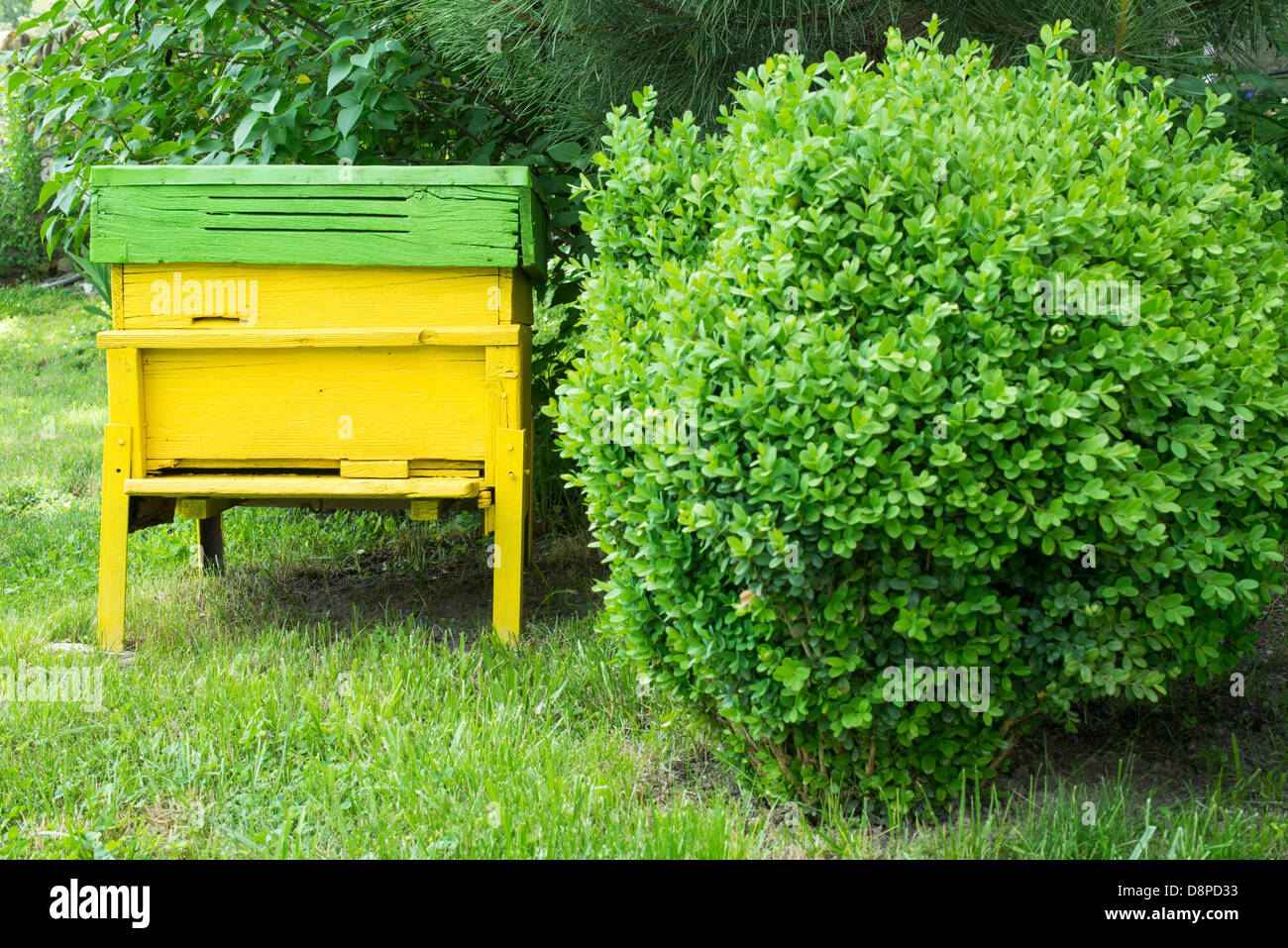 Green beehive located on the green lawn Stock Photo - Alamy