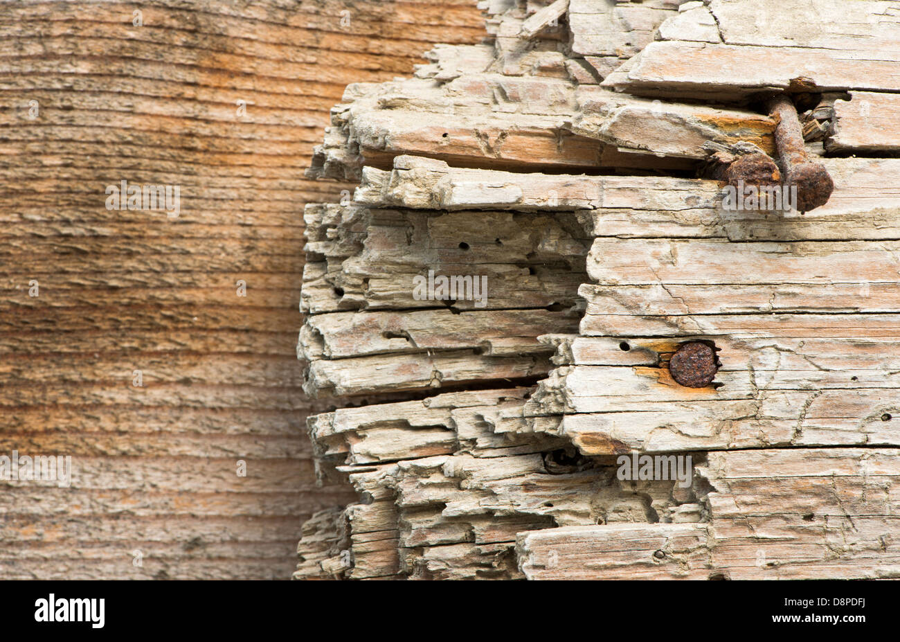 Old rotting dark planks Stock Photo - Alamy