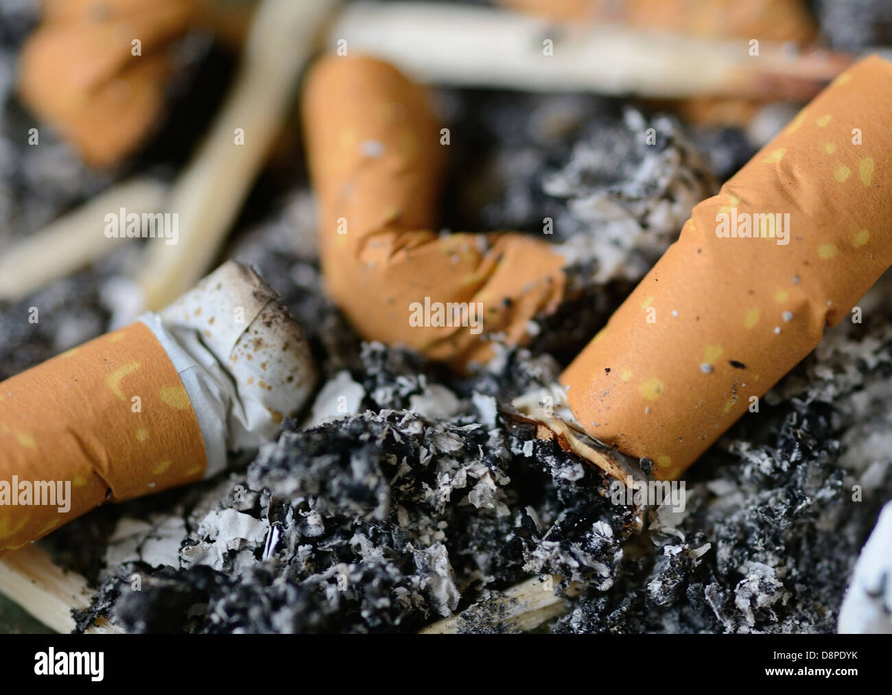 Macro shot with full ashtray with lot of butts Stock Photo - Alamy