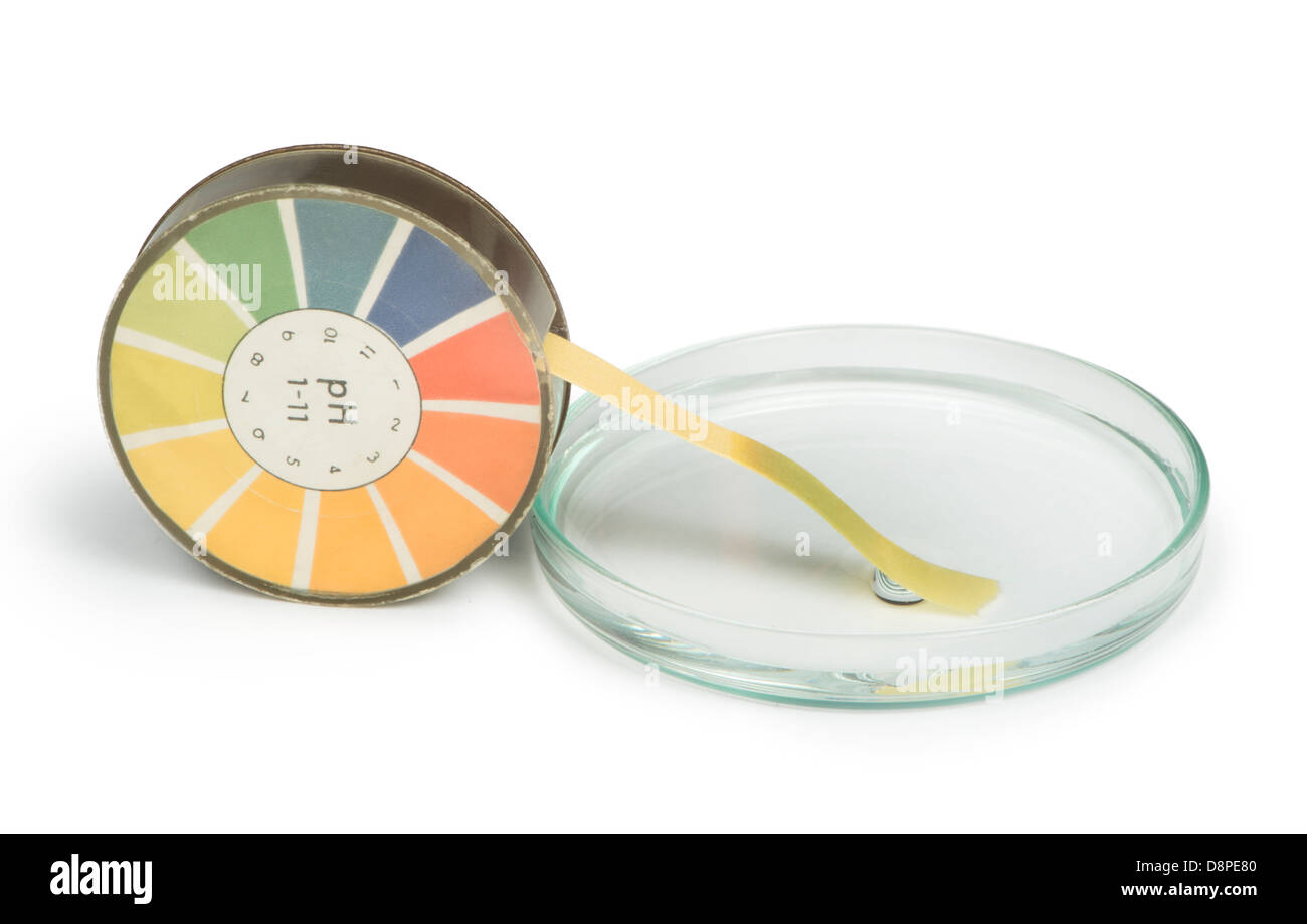 What Is The Difference Between Blue Red Litmus Paper?, 45% OFF