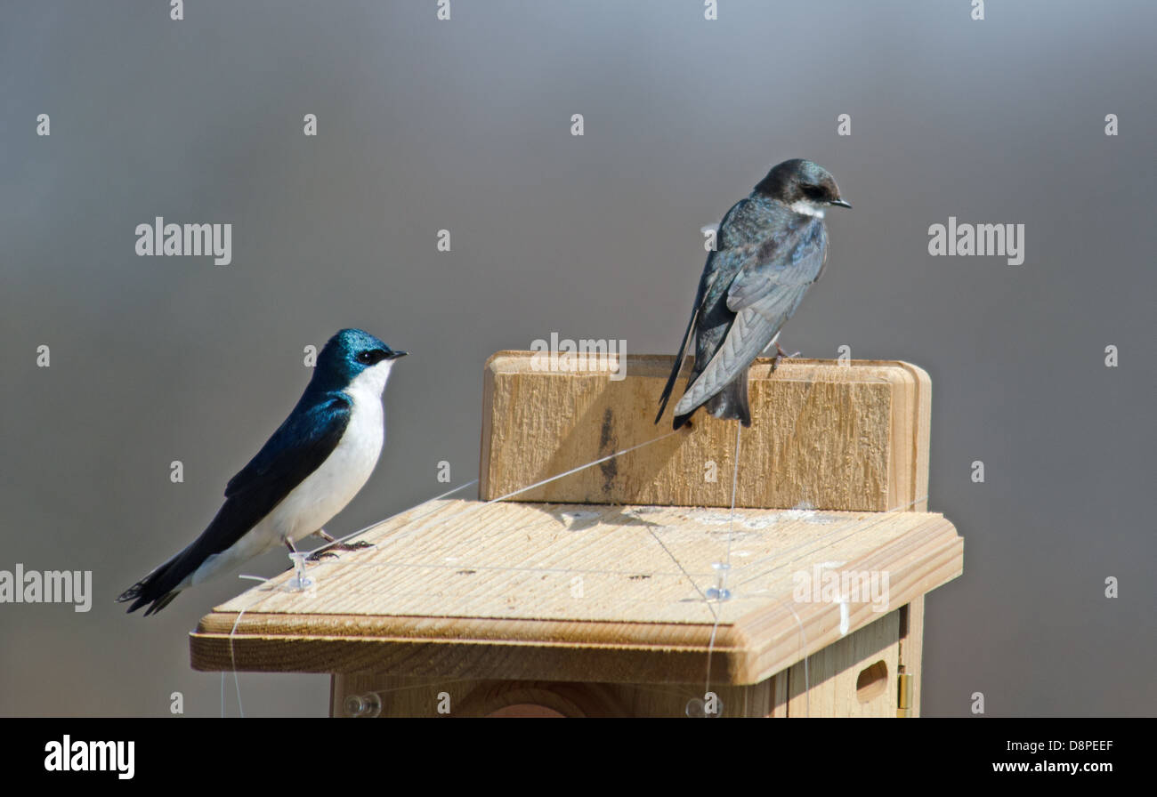 Prairie reserve hi-res stock photography and images - Alamy