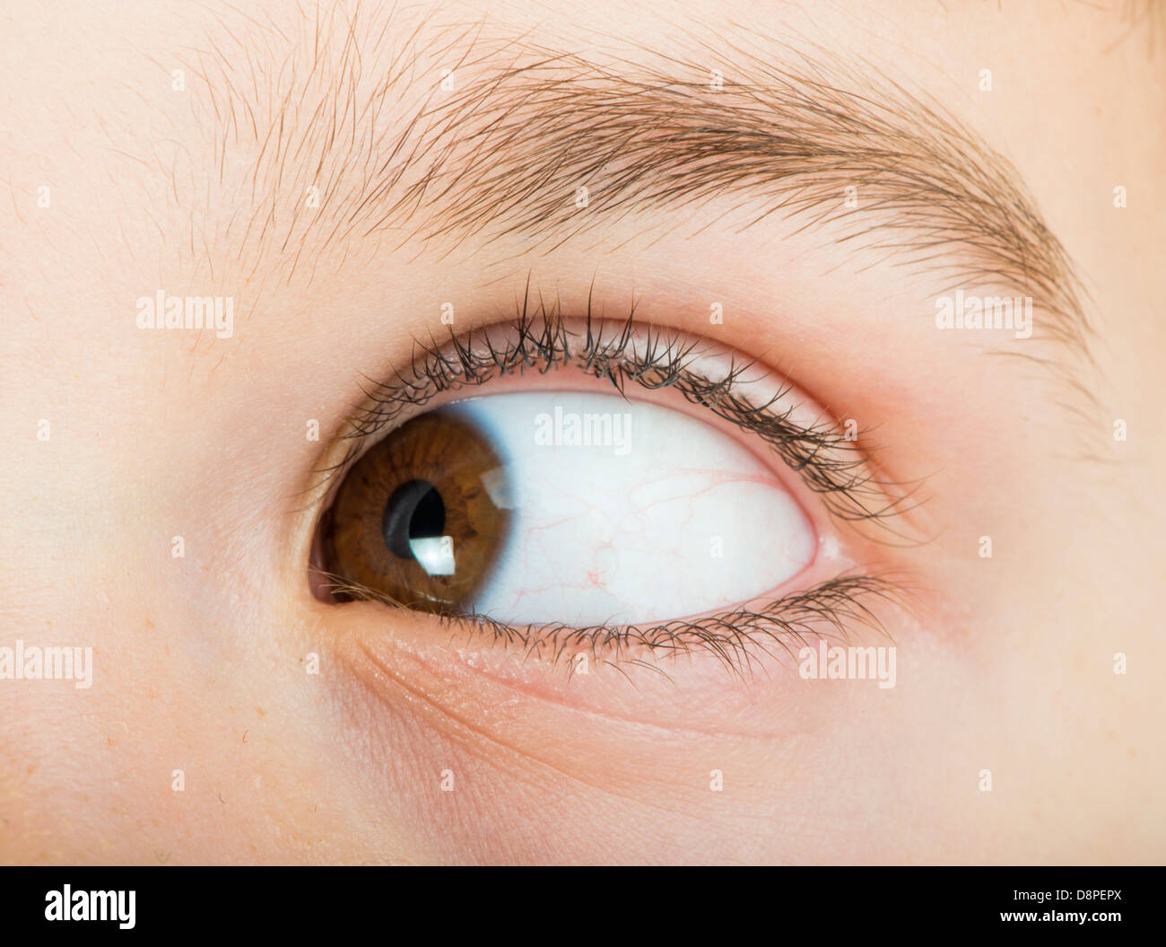 Human eye looking to the left. Close up studio shot Stock Photo - Alamy