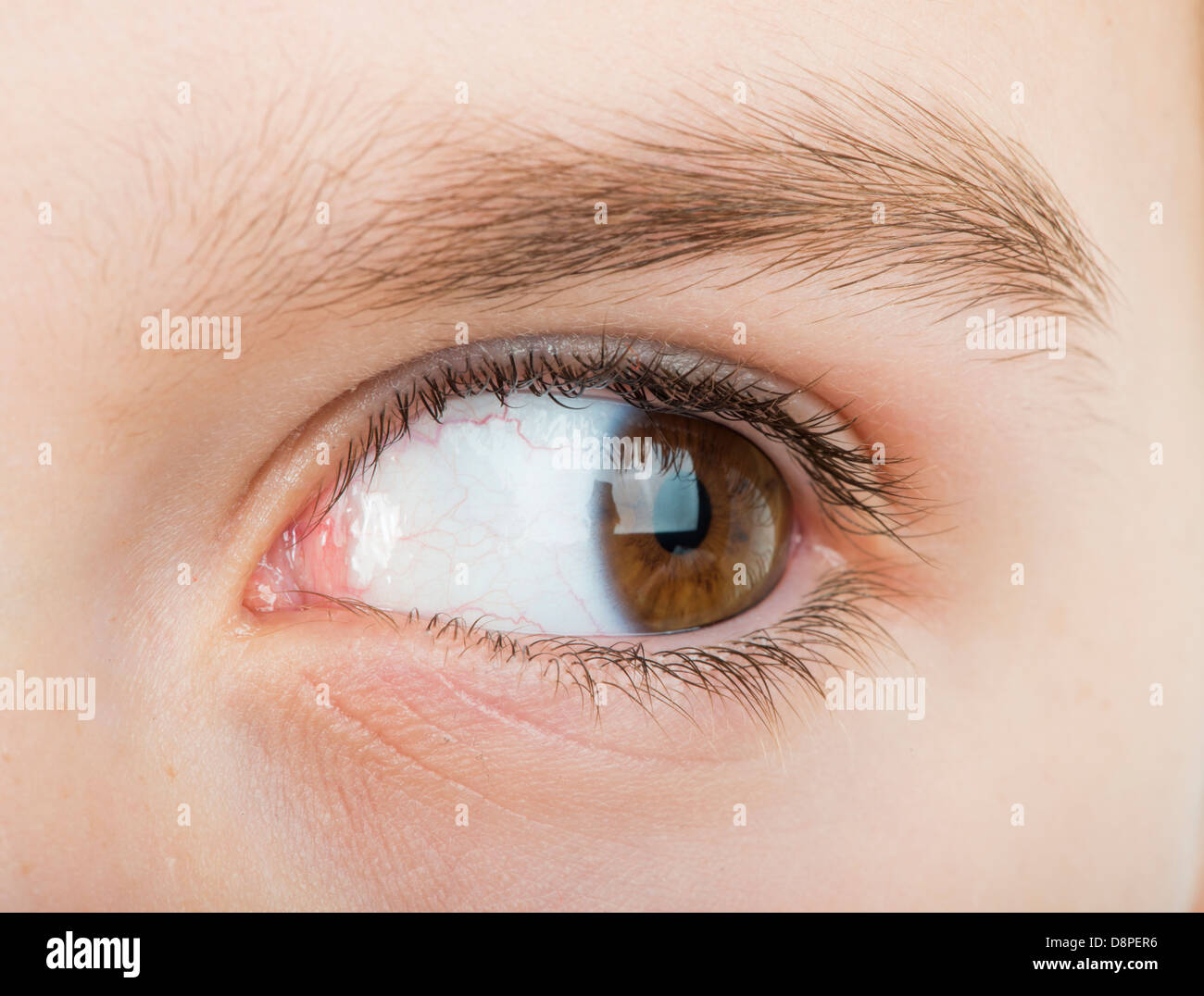Human eye looking to the right. Close up studio shot Stock Photo - Alamy