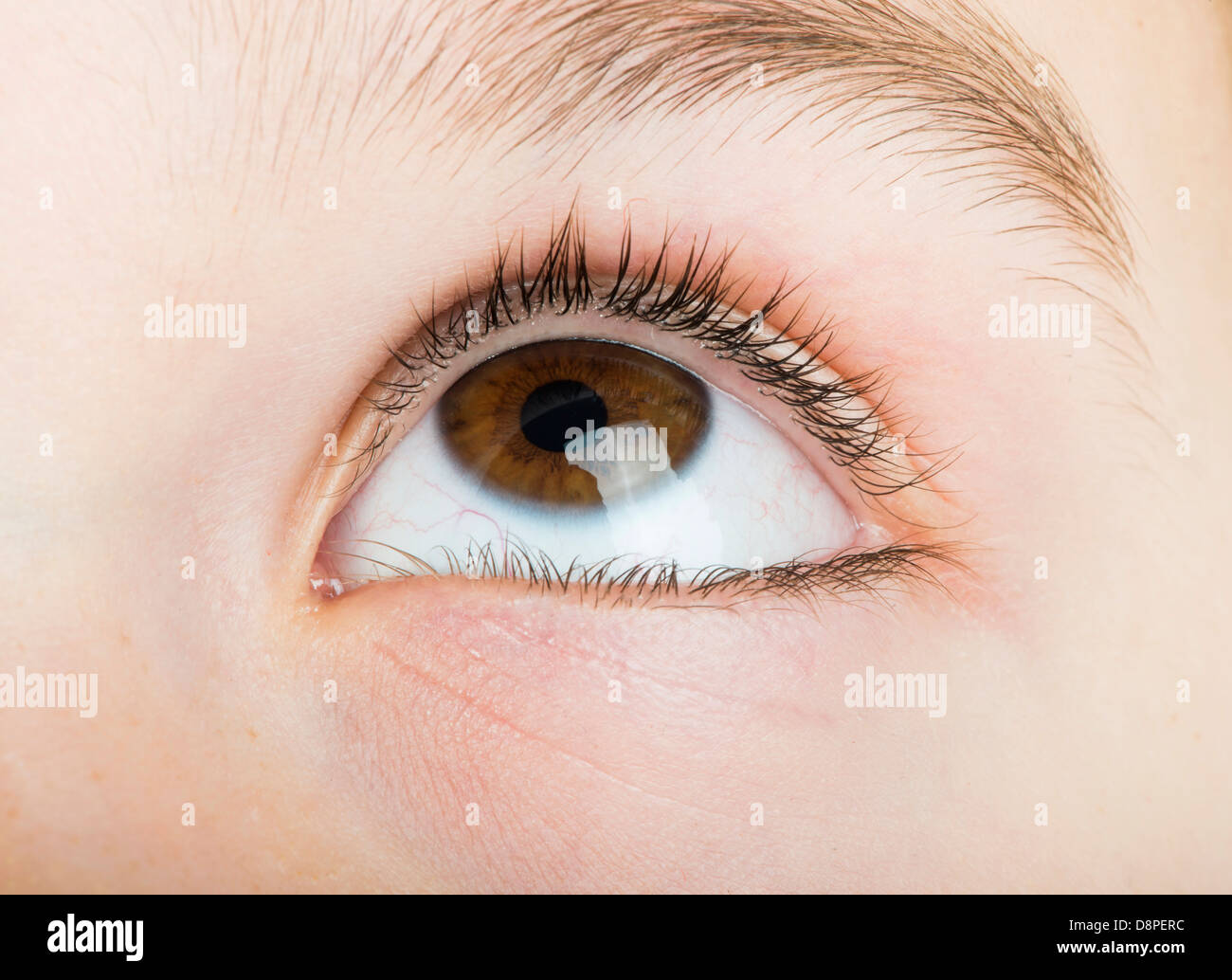 Human eye looking to up. Close up studio shot Stock Photo - Alamy