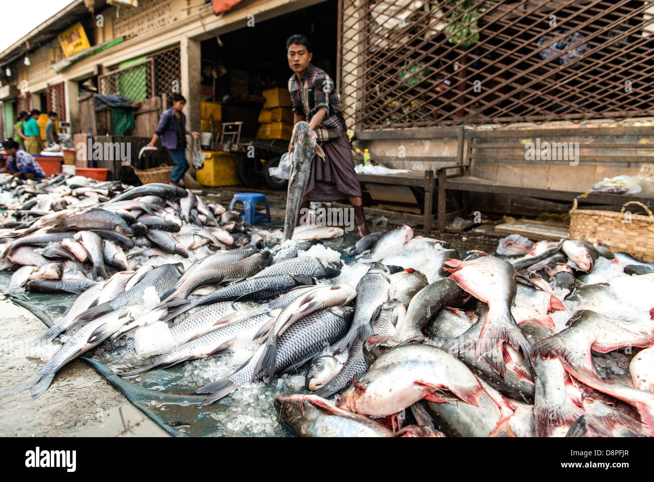 Fish market Mandalay Burma Myanmar Stock Photo - Alamy