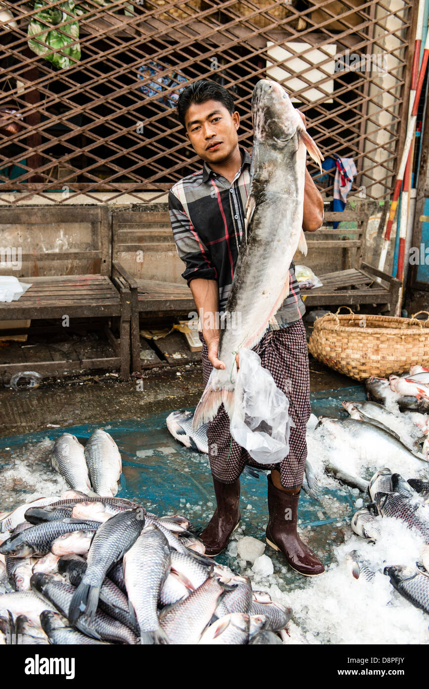 Fish market Mandalay Burma Myanmar Stock Photo - Alamy