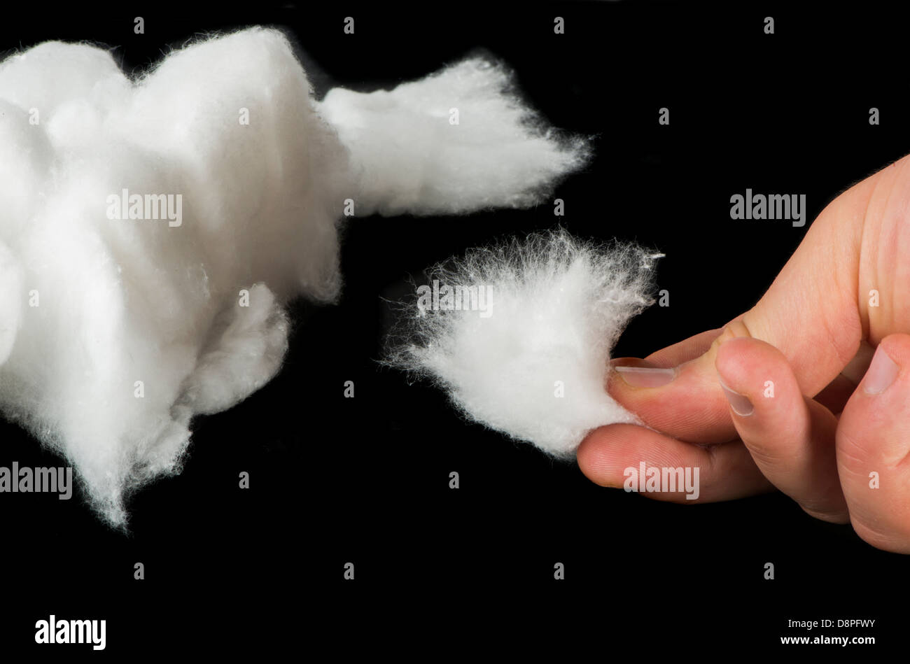 Hand holding piece of Cotton wool. Black isolated Stock Photo - Alamy