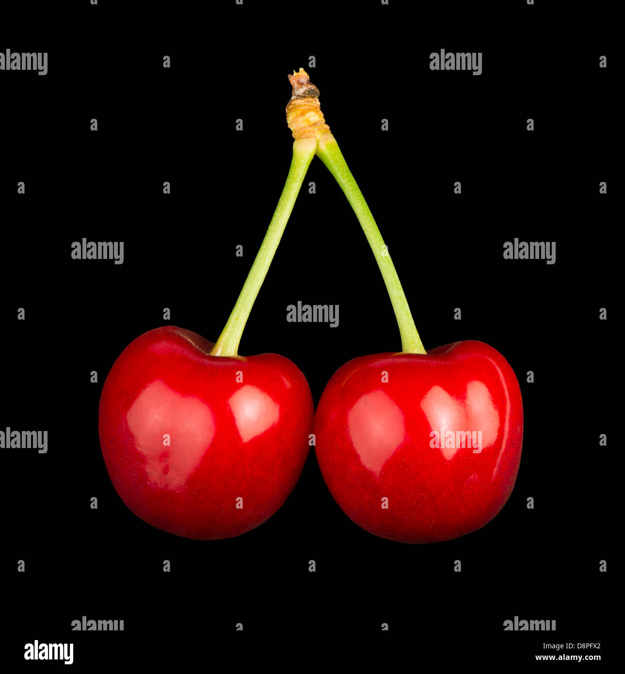 Two Cherries black isolated studio shot Stock Photo - Alamy
