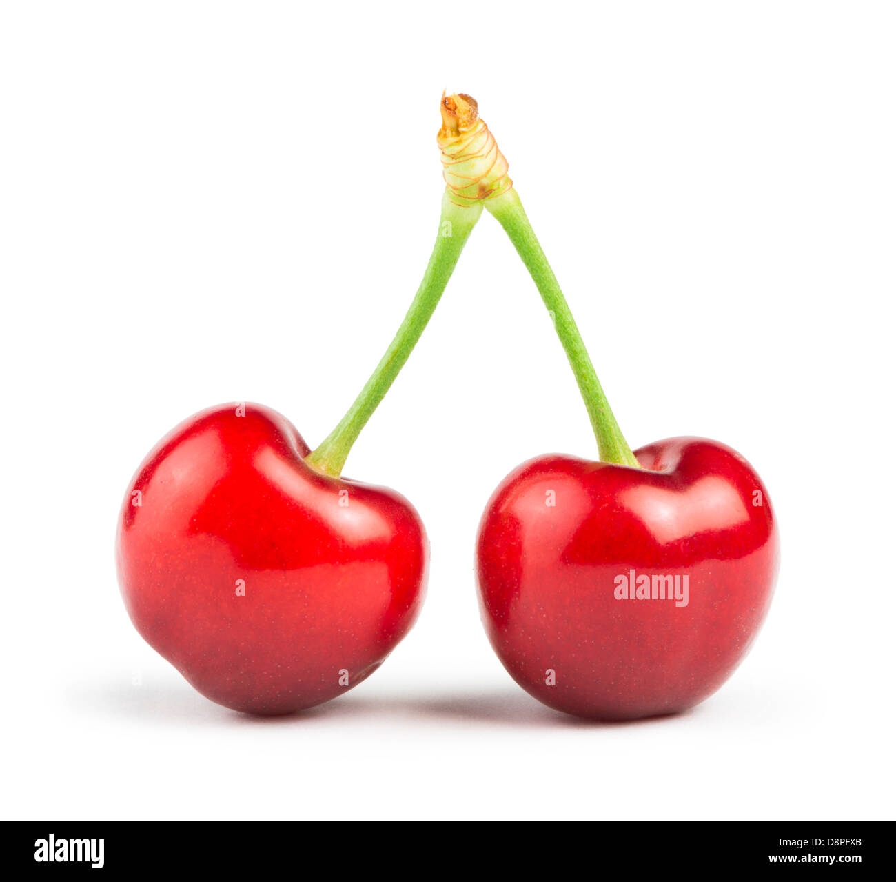 Closeup shot white cherry hi-res stock photography and images - Alamy
