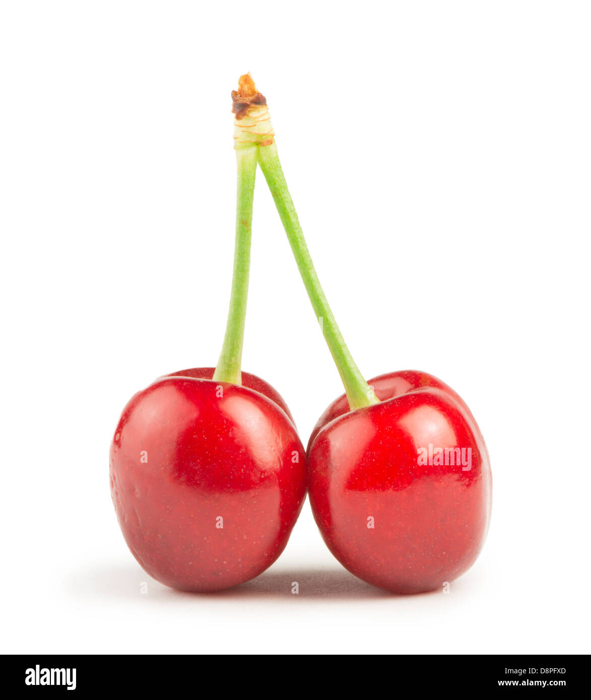 Macro shot white red Cut Out Stock Images & Pictures - Alamy