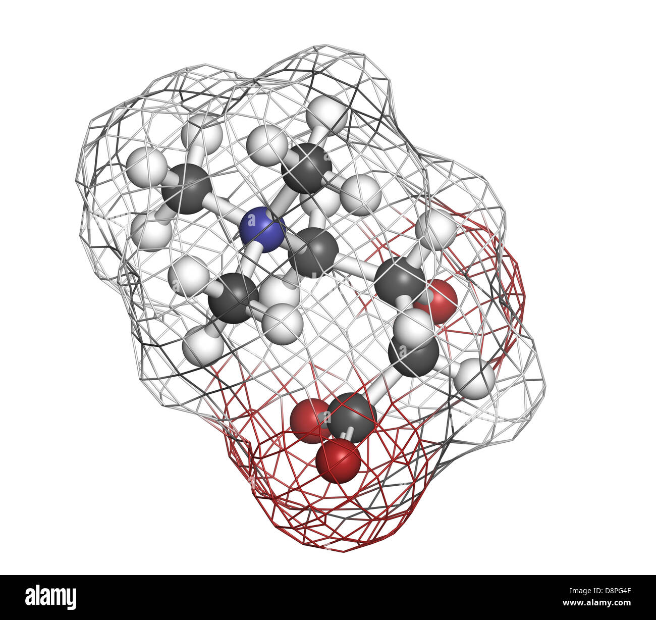 Carnitine food supplement molecule, chemical structure. Atoms are ...